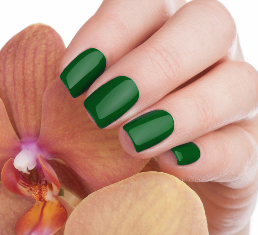 Products – KAFI Cosmetics